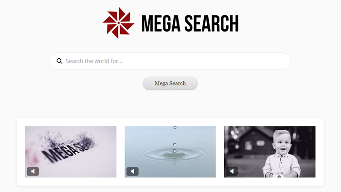 Mega Search